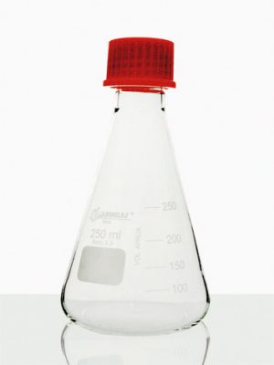 Erlenmeyer | Prolab - Equipamentos para Laboratórios